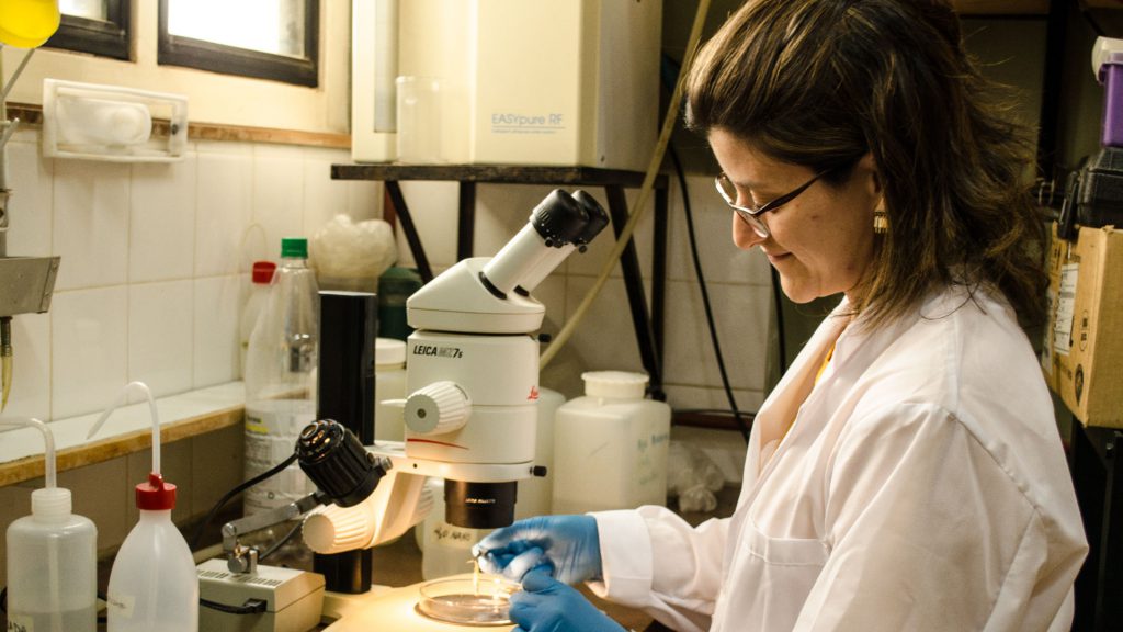 La CNEA incorpora profesionales altamente calificados que concursaron ...